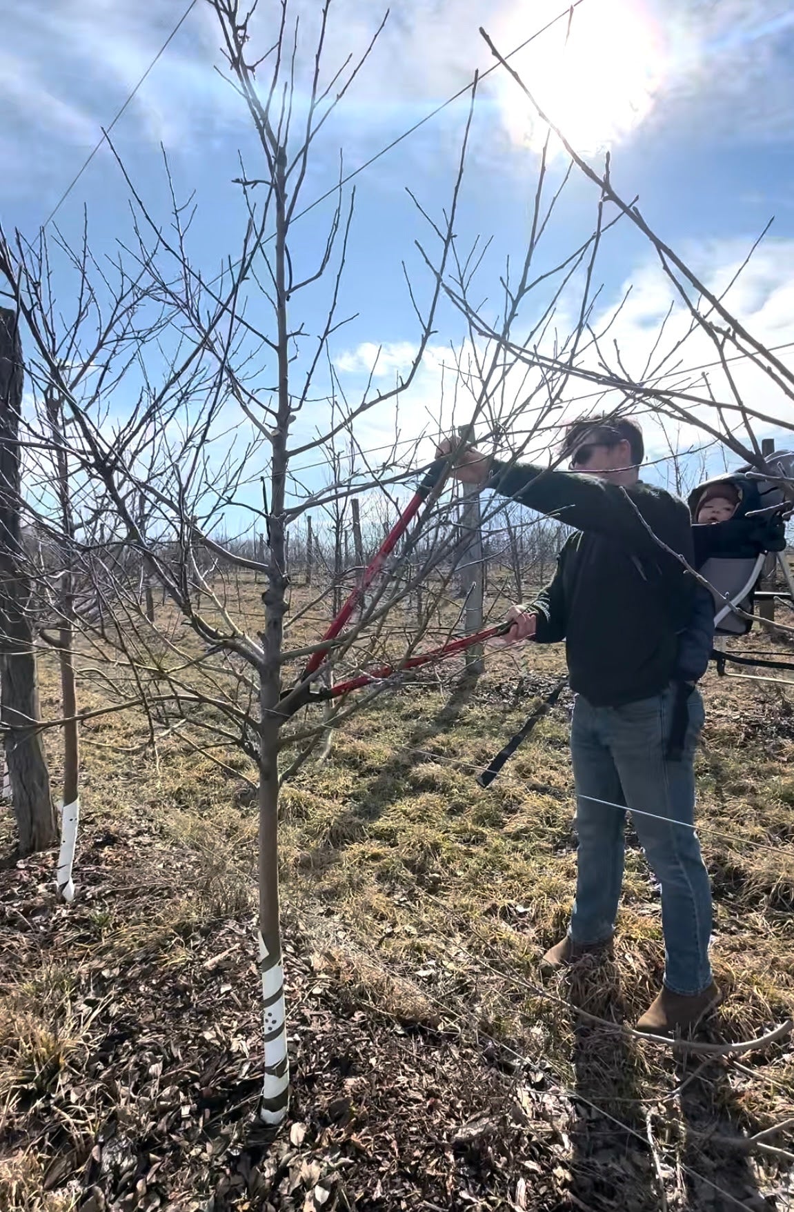 The Quickening of Spring – Finger Lakes Cider House Provisions