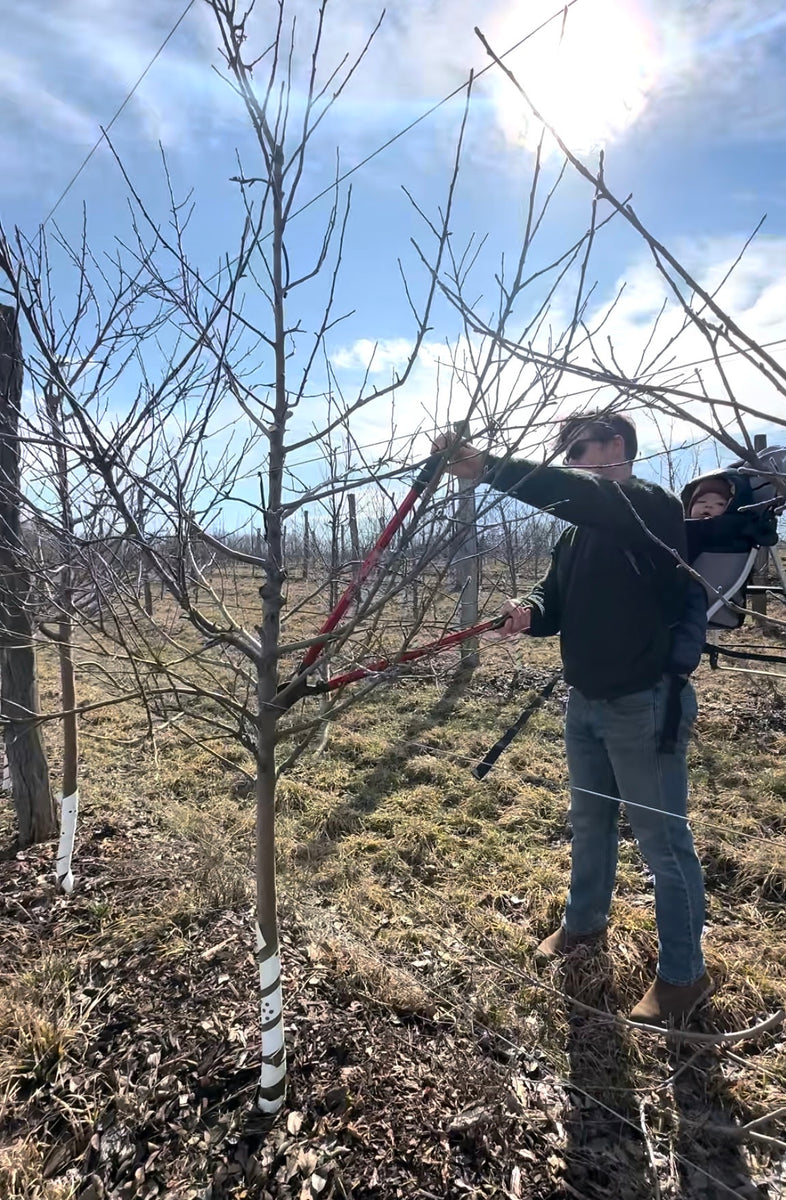 The Quickening of Spring – Finger Lakes Cider House Provisions